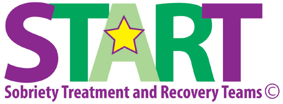 START Model Data Training